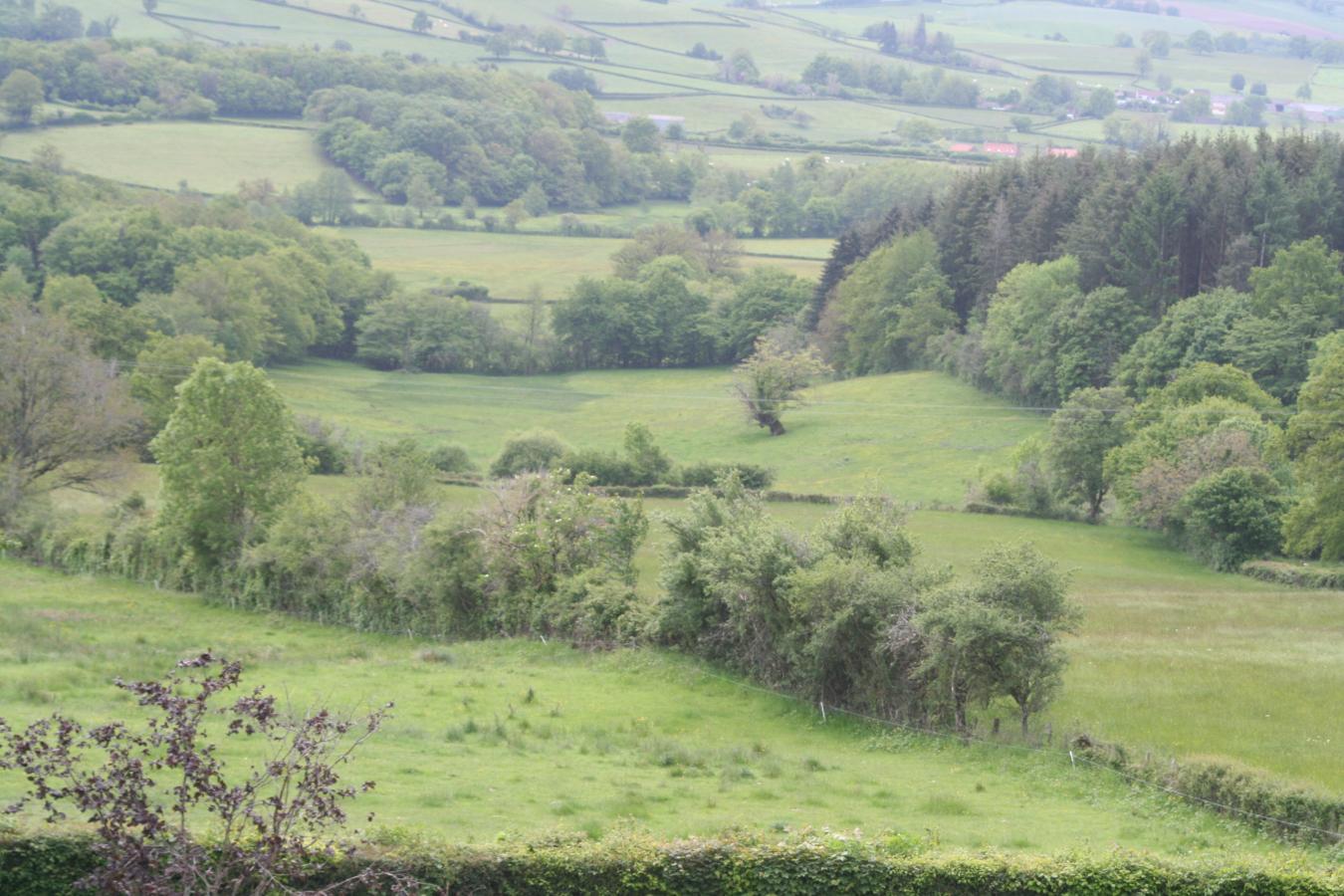 Semelay | Patrimoine du Morvan