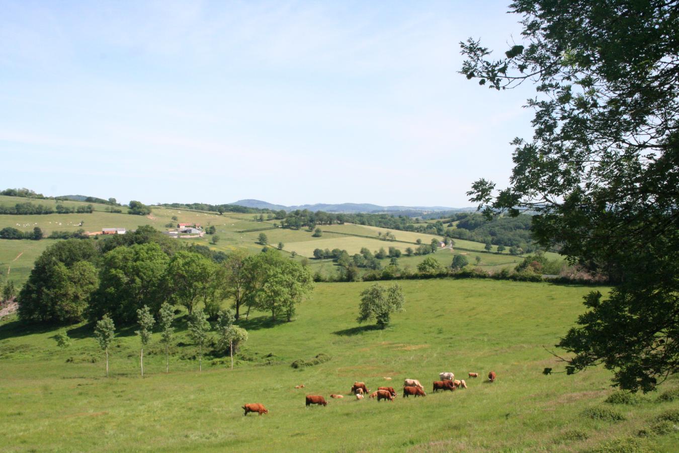 Semelay | Patrimoine du Morvan