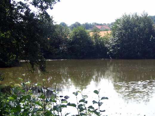 Etang de Boussons | Patrimoine du Morvan