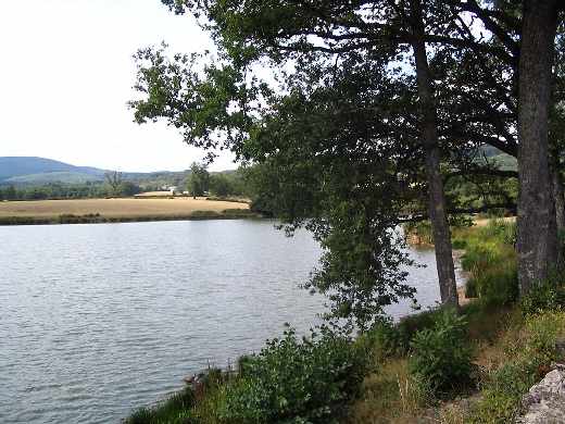 Etang de Poisson | Patrimoine du Morvan
