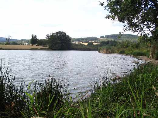 Etang de Poisson | Patrimoine du Morvan
