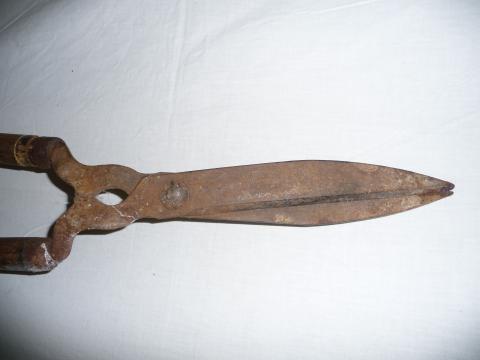 CISAILLE | Patrimoine du Morvan